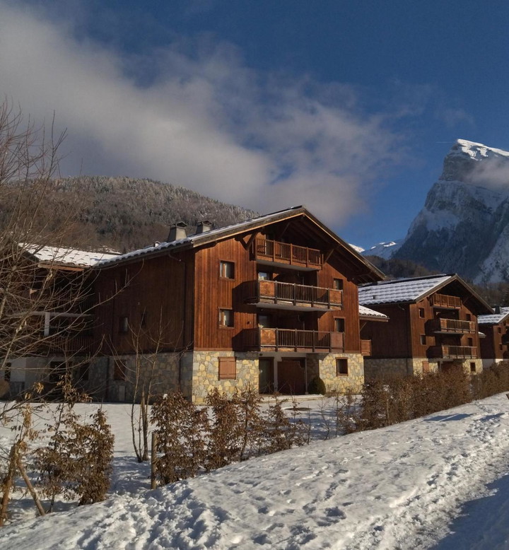 Chardons Argentés - Samoëns