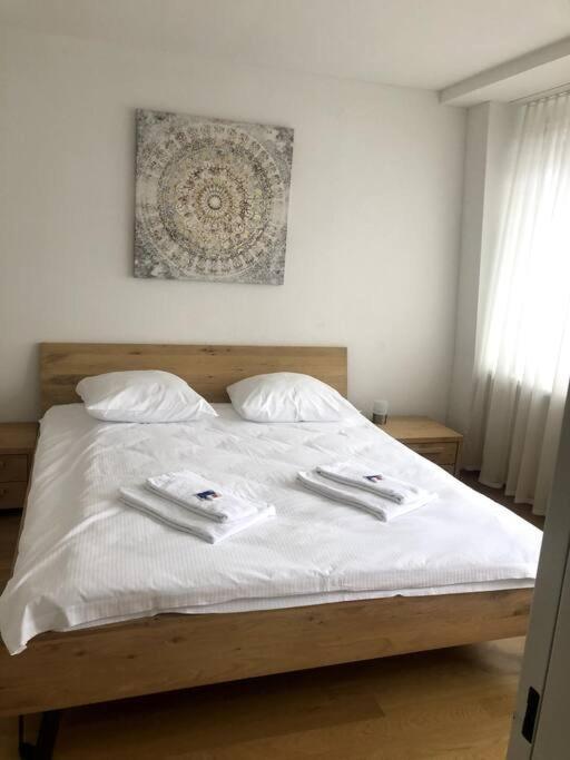Charming 1br Flat In The City Centre - West9 - Zurique