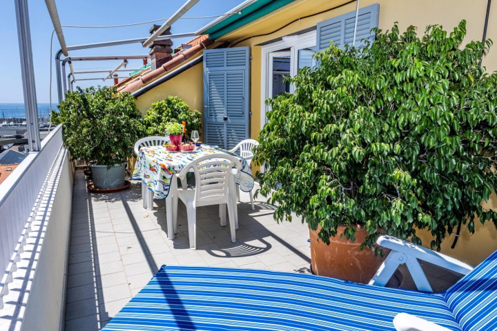 Seagulls, Elegance And Freedom - Chiavari