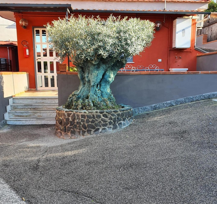 Bed & Breakfast Neapolis - Portici