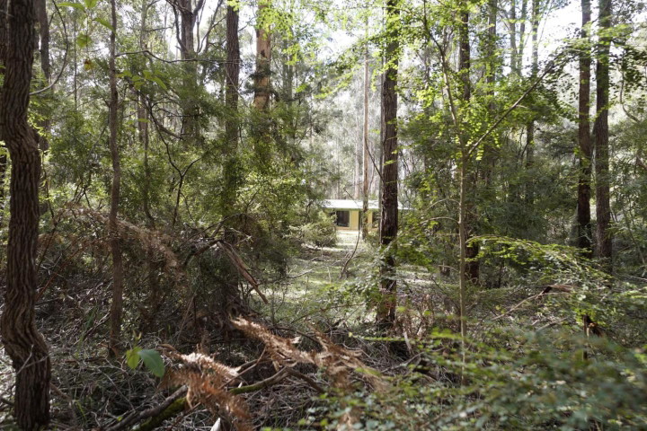Karriwood Cottage - Pemberton