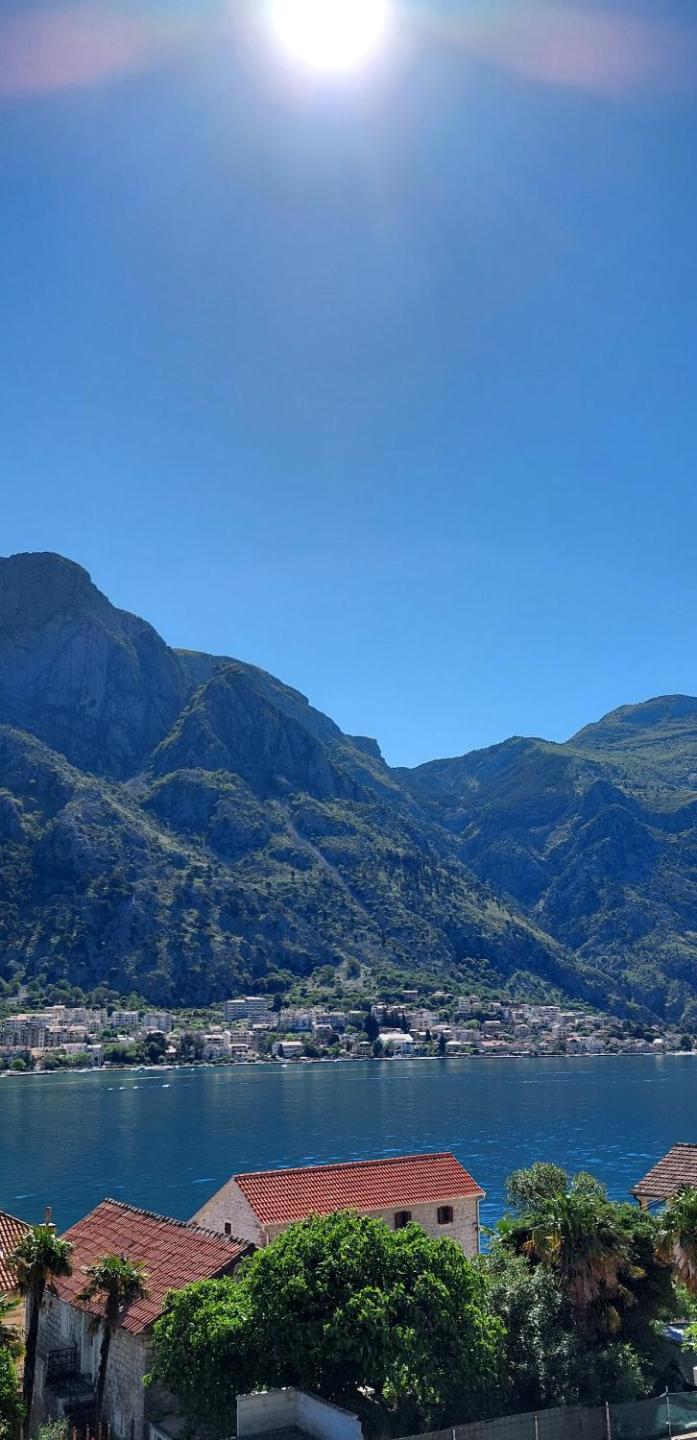 My Roots Apartment - Kotor