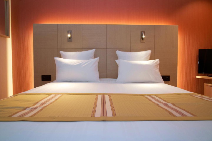 Nash Airport Hotel - Saint-Julien-en-Genevois