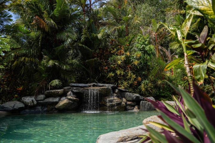 Daintree Beach Resort - Daintree