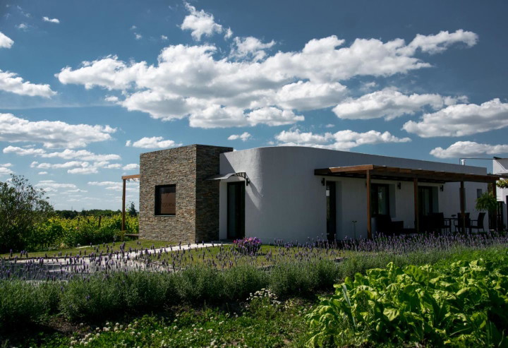 Pizzorno Lodge & Wine - Uruguay