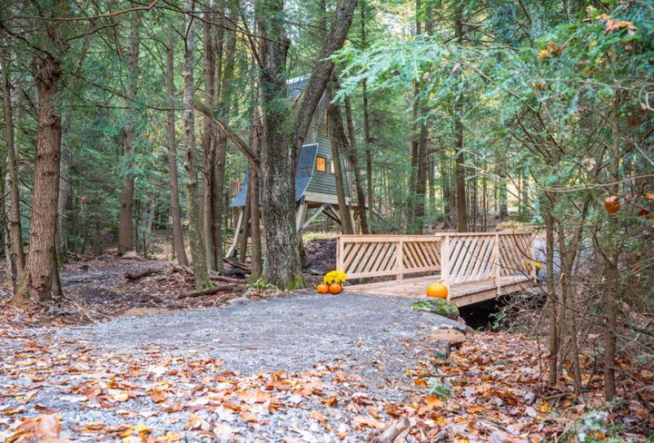 Peaceful Pines Treehouse - Lake Erie, PA
