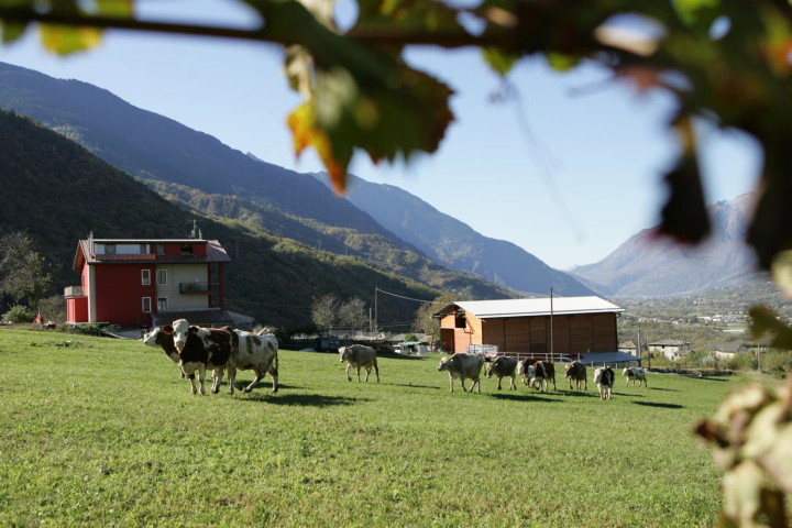 Agriturismo Stella Orobica - Sondrio