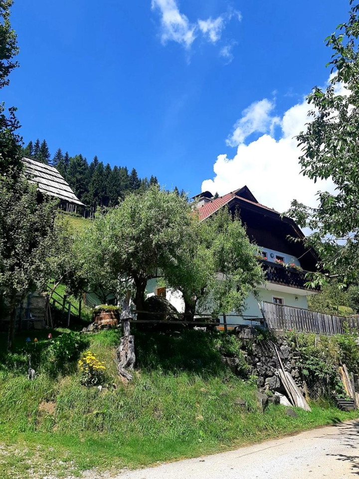 Ferienwohnungen Am Berghof - Gerlitzen