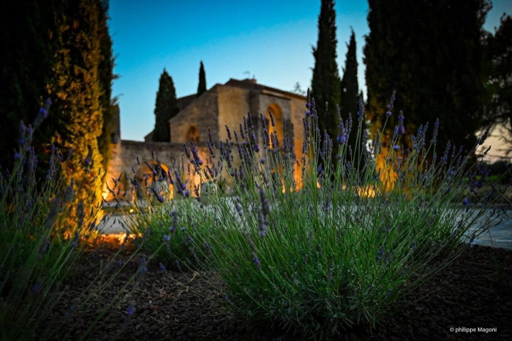 Château Saint-pierre De Mejans - Lourmarin