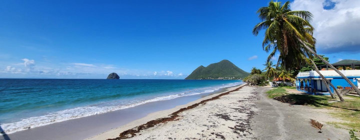 20m De La Plage Beau Studio Au Village Du Diamant Vue Mer - Les Anses-d'Arlet