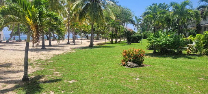 Studio La Verdure - Guadeloupe