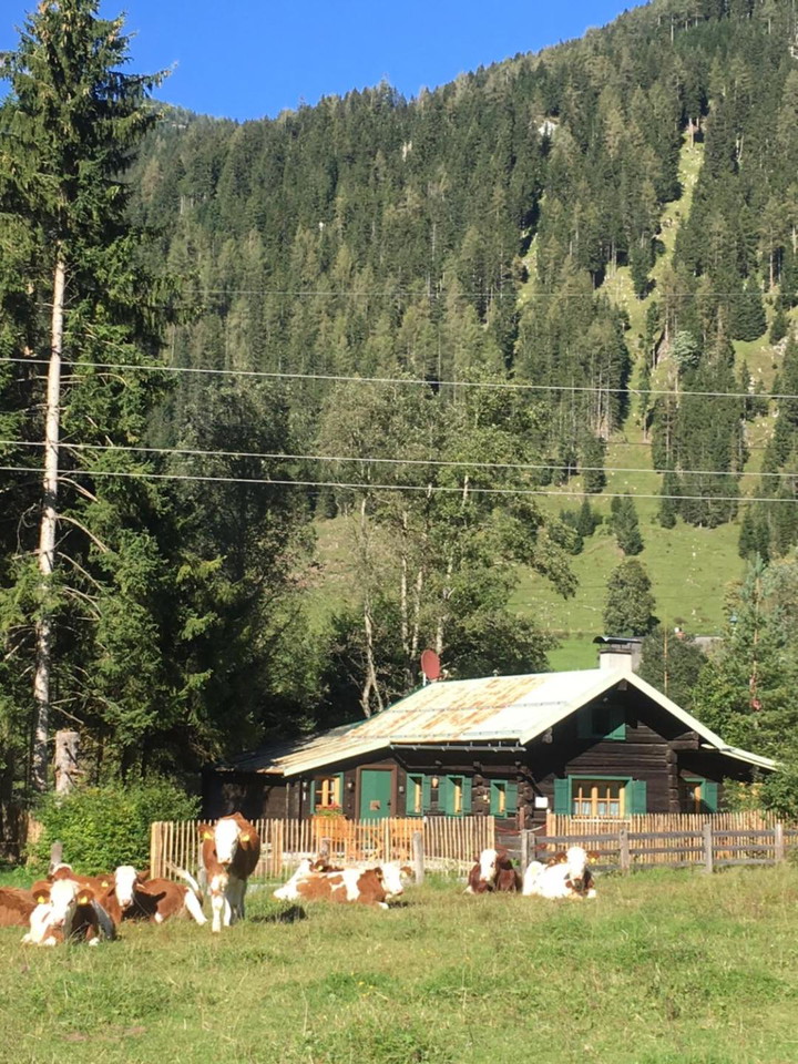 Knusperhauschen Sonnegg - Flachauwinkl