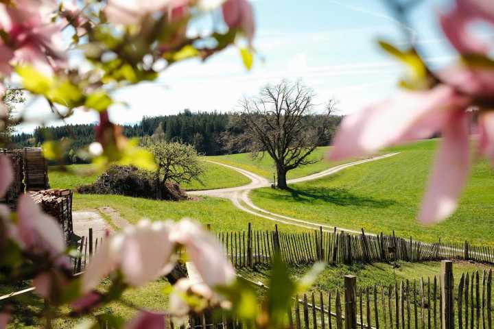 Chiemgauer Landliebe - Chiemsee