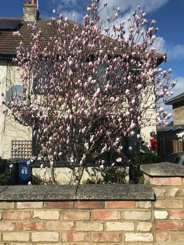 Harry's Bed And Breakfast - Cambridgeshire