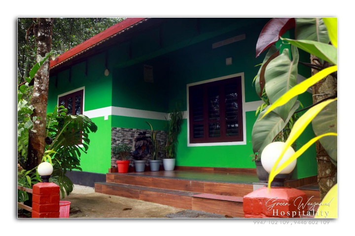 Green Wayanad Homestay - Wayanad