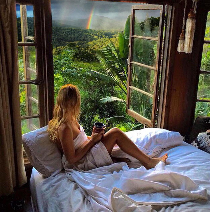 The Den Of The Treehouse - Mullumbimby