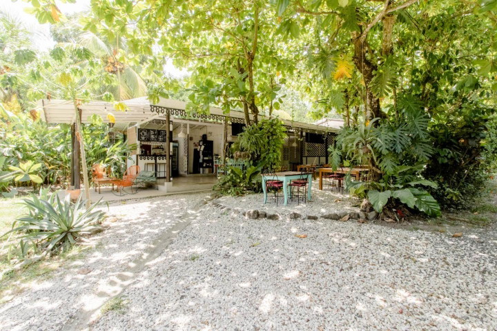 Bajo El Arbol B&b - Costa Rica