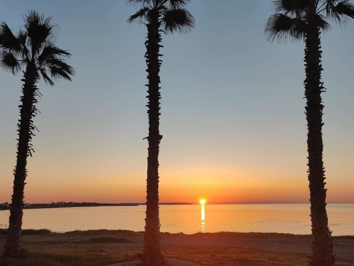 Palm Garden Paradise - Larnaca