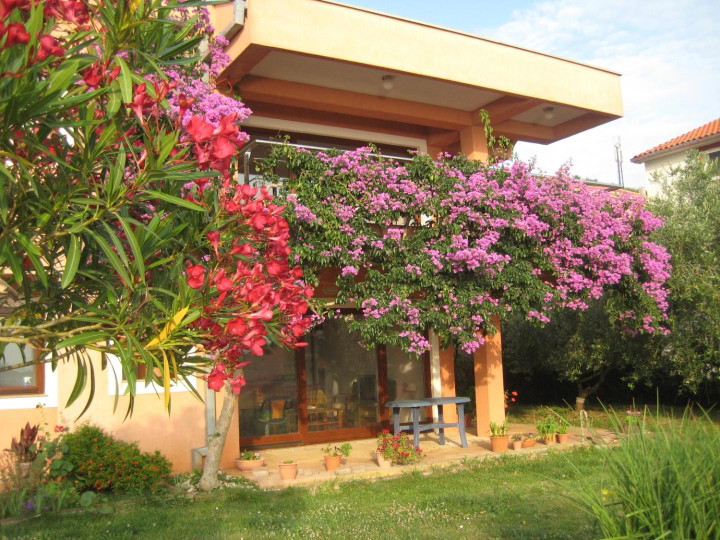 Apartman Lavanda - Zadar
