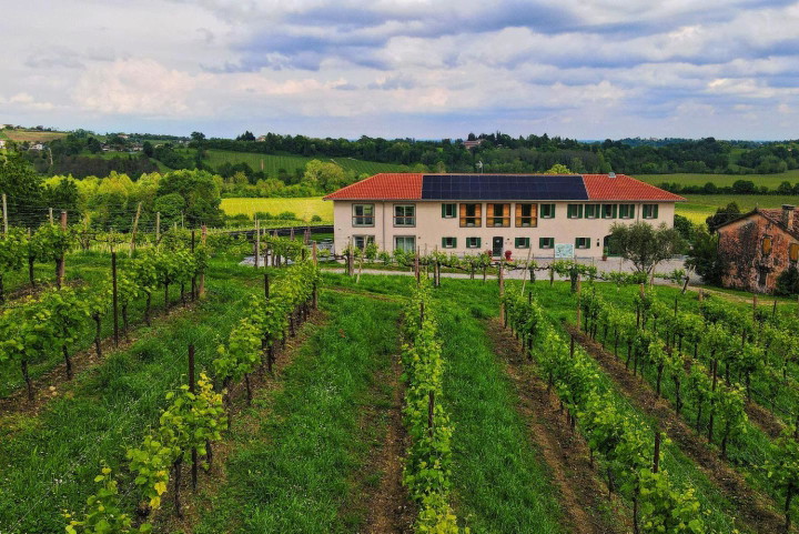 Tenuta Mani Sagge - Conegliano