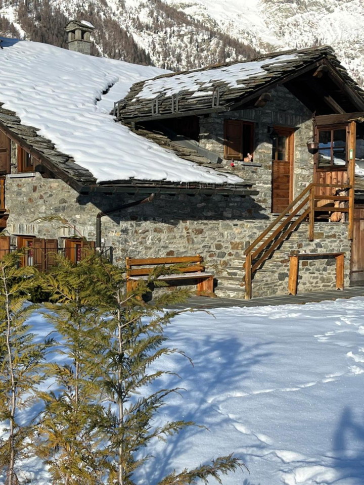Flora Alpina Apartments - Residenza Bieltschocke - Gressoney-Saint-Jean