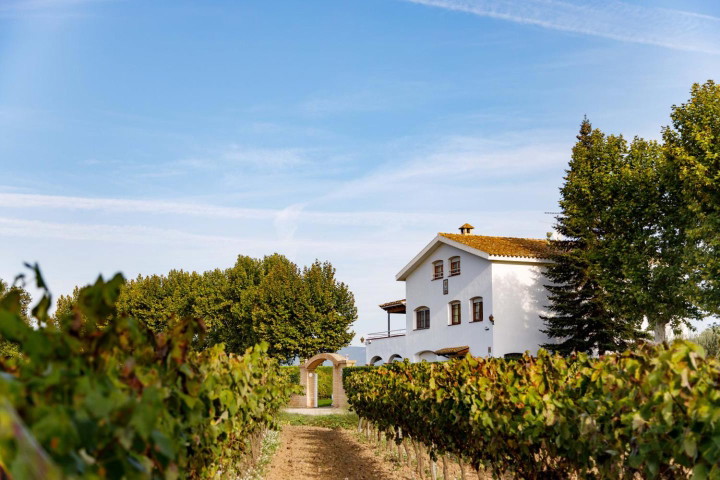 Casa Fontanals - Sant Sadurní d'Anoia