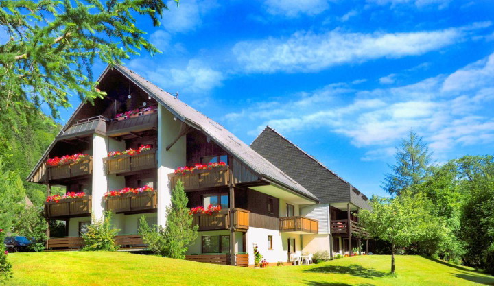 Neu-mit Aufenthaltsraum Für Gruppen-feiern-geburtstage-umgeben Von Schöner Natur-ferienhaus Albmatte - Feldberg