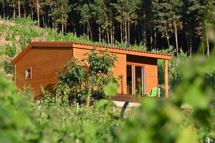 Quinta Da Aldeia Nova - Lousã