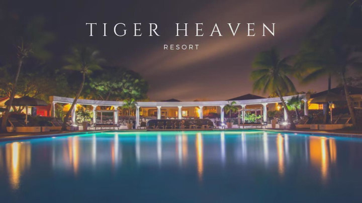 Tiger Heaven Resort - Chhattisgarh