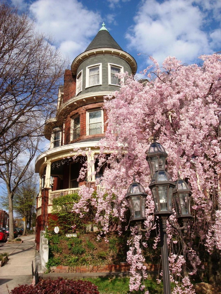 Wilson House Bed & Breakfast - Chesapeake Bay