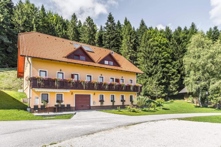 Apartments Planina Pod Sumikom - Alpen