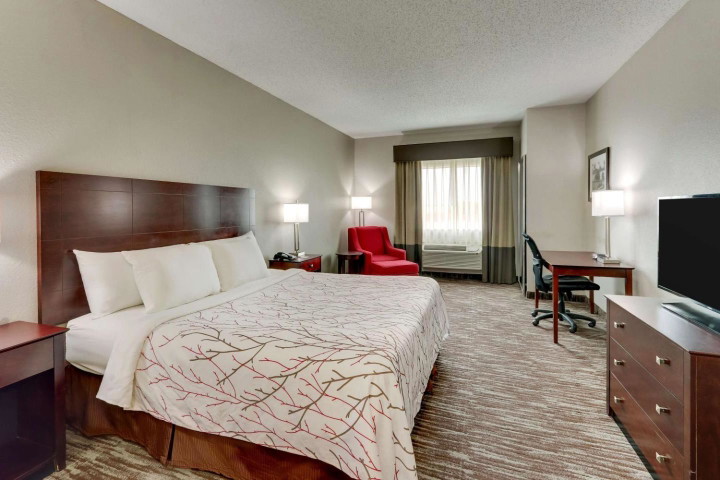 Best Western Plus University Inn & Suites - Wichita Falls, TX