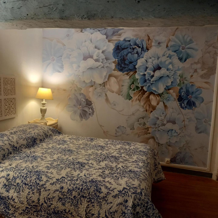 L'occitane Appartement Climatisé Centre Ville - Limoux