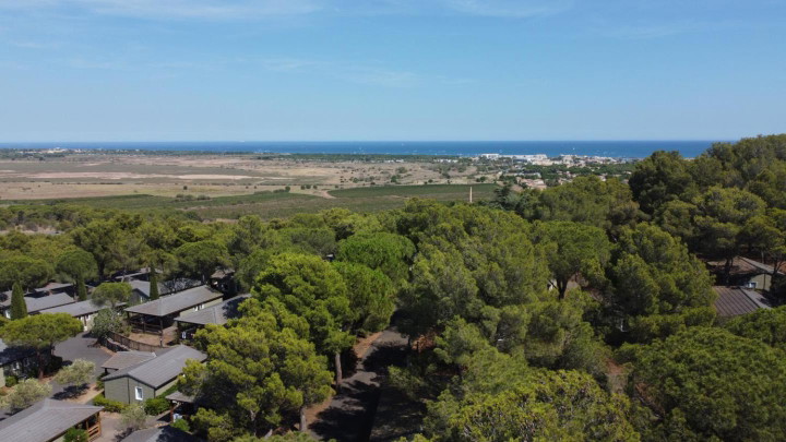 Chalet Familial Entre Les Pins - Hérault