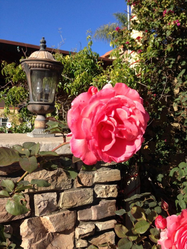 Leucadia Beach Inn - Carlsbad, CA