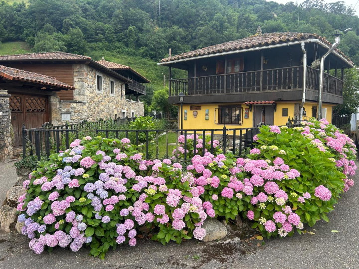 Finca Del Hórreo - Salas
