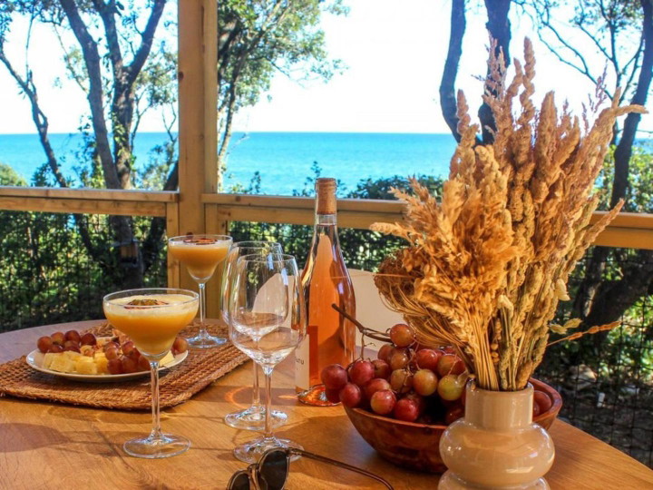 Bungalow Clim Et Animaux Acceptés - 4 Pers. - Api-1-52-2585 - Haute-Corse