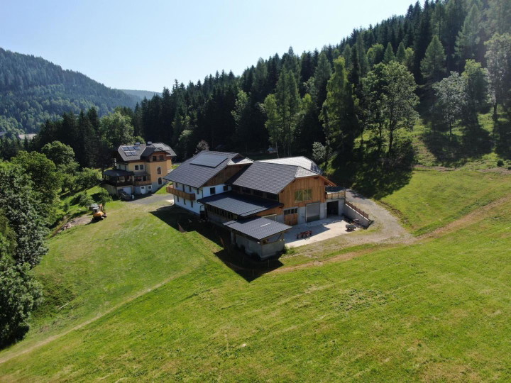 Ferienwohnung Steinacherhof - Gerlitzen