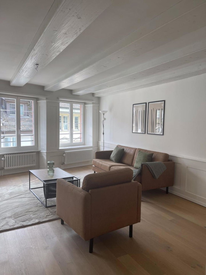 The R Apartment Bodensee - Old Town - Canton of Schaffhausen