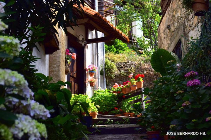 Casa Rural Amparo - Mogarraz
