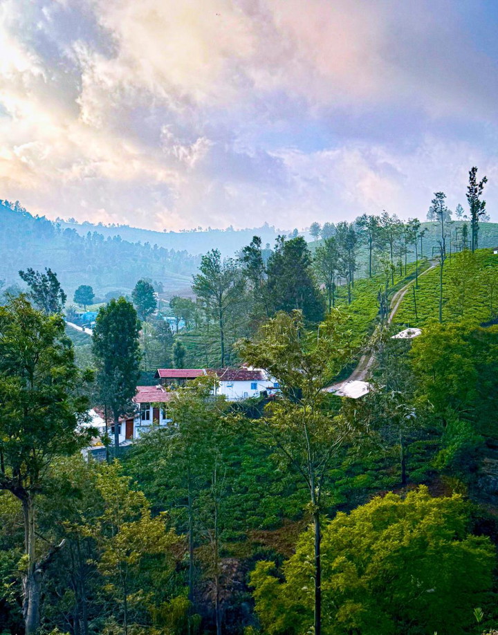 Mad & Nomad Backpackers Hostel - Kerala