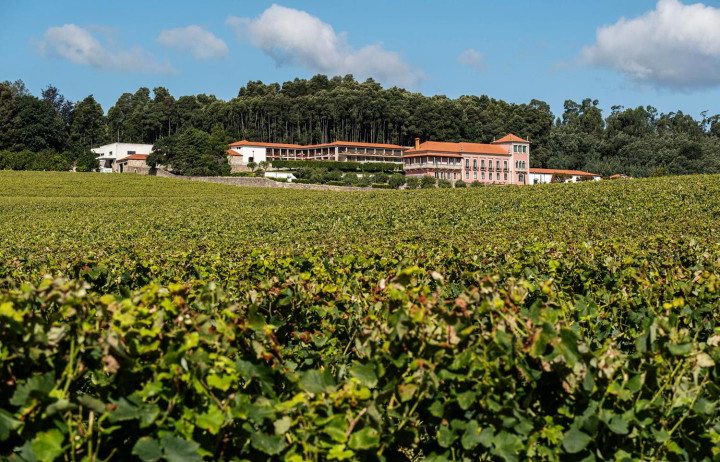 Solar De Vila Meã - Braga