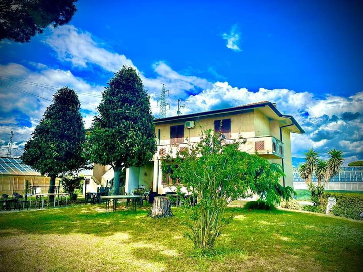 Le 2 Magnolie, Viareggio - Viareggio