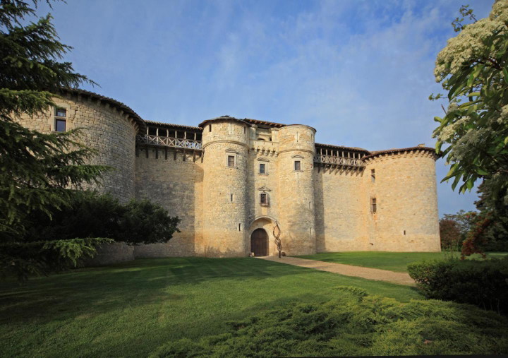 Château De Mauriac - Gaillac