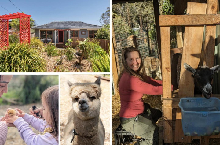 Blue Mountains Urban Farm Stay Near Sydney - Sydney