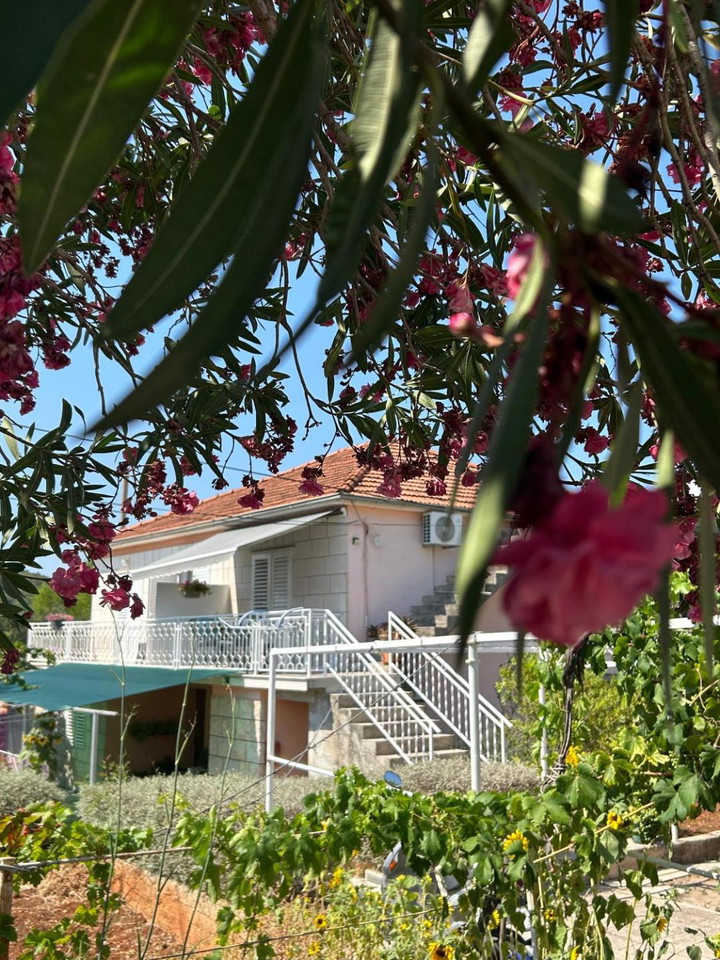Korčula Guest House - Korčula Island