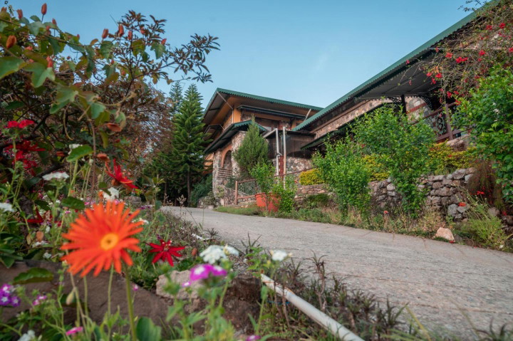 Tree Of Life Resort, Dehradun Foothills - Dehradun