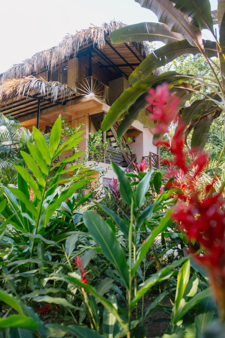 Salvia Madre - Kolumbien