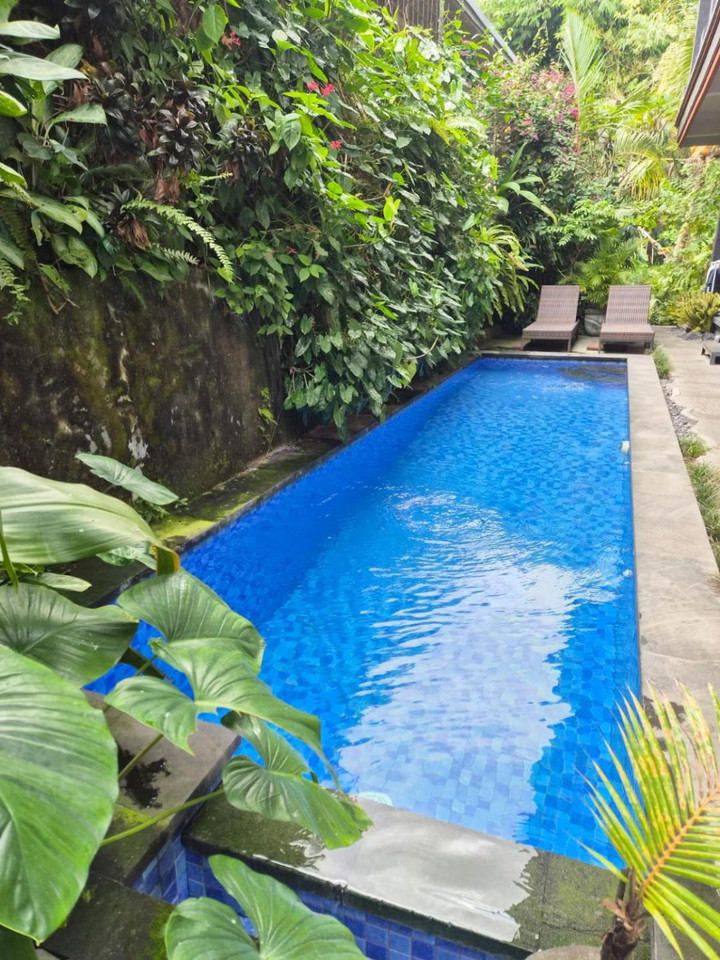 Adenia House Ubud - Ubud