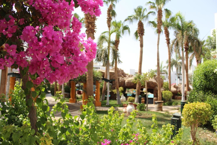 Herrmes - Sharm el-Sheikh